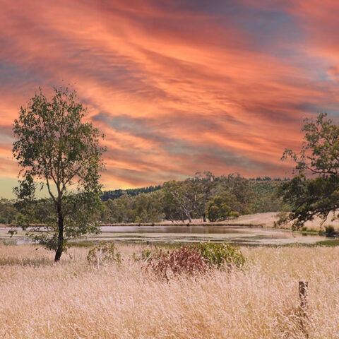 Mt Crawford Camping Private Campsite South Australia